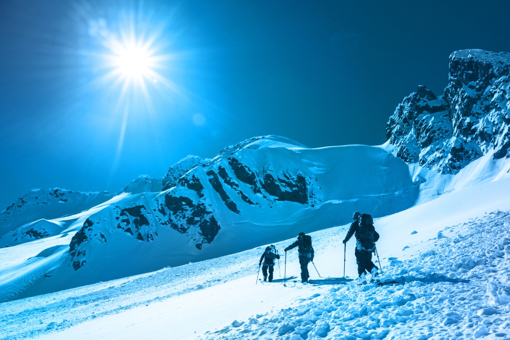 Specialist, investment-led, active fund manager | Polar Capital