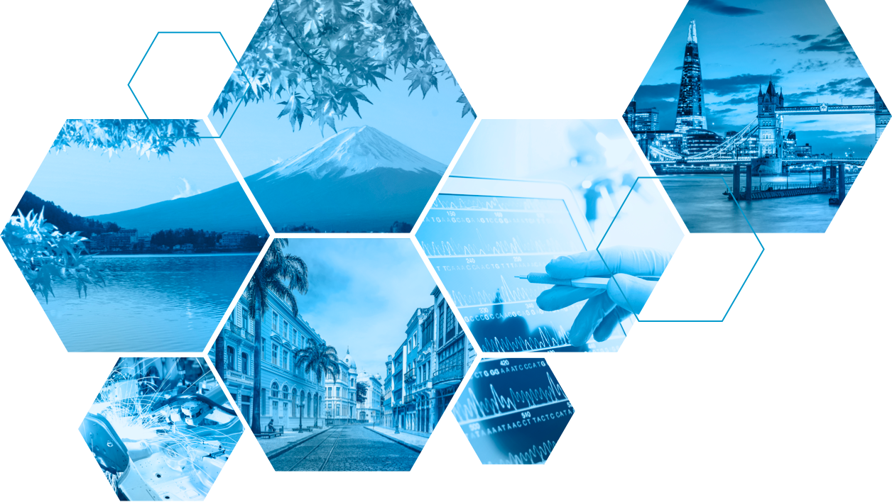 Our Business | Polar Capital