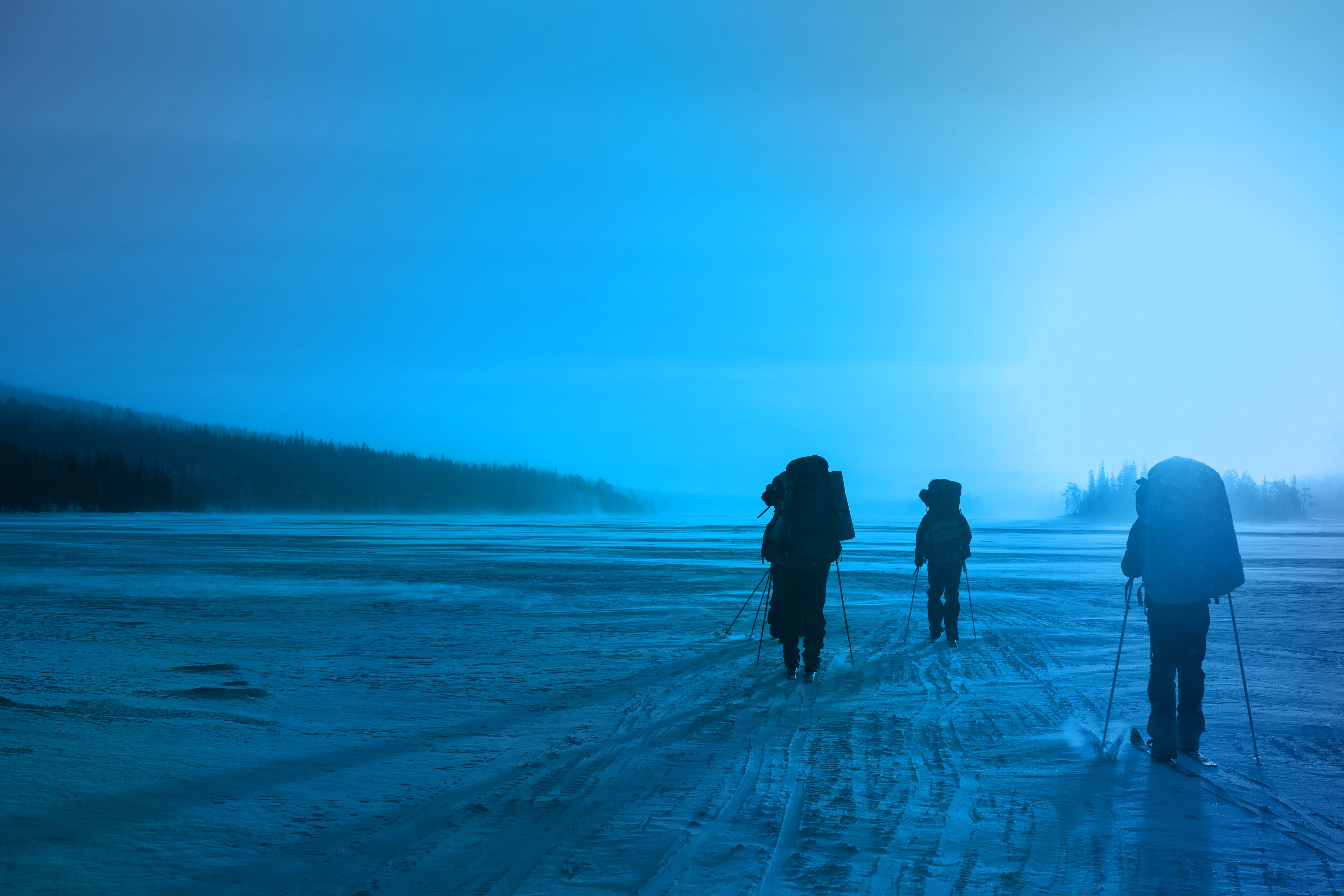 Specialist, investment-led, active fund manager | Polar Capital
