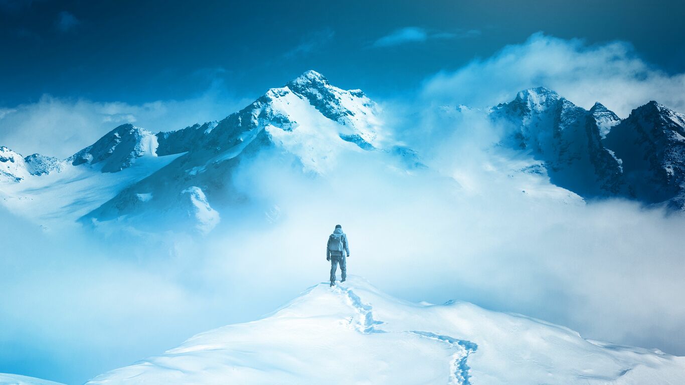 Specialist, investment-led, active fund manager | Polar Capital