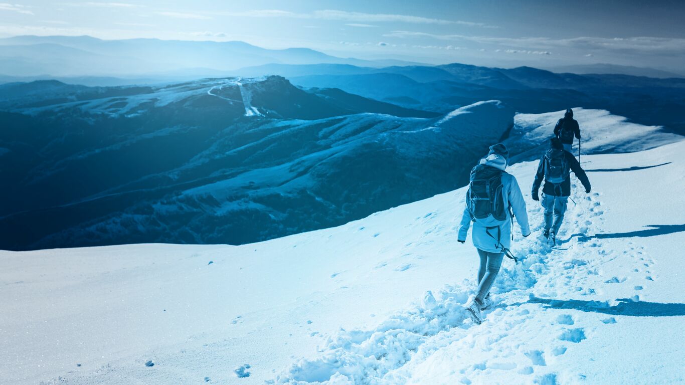 Specialist, investment-led, active fund manager | Polar Capital